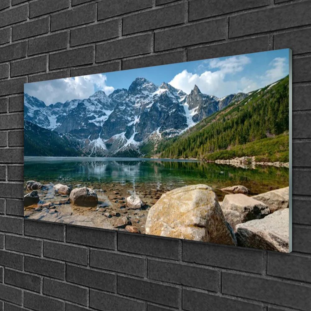 Obraz na skle Hory Les Jezero Kameny 100x50 cm