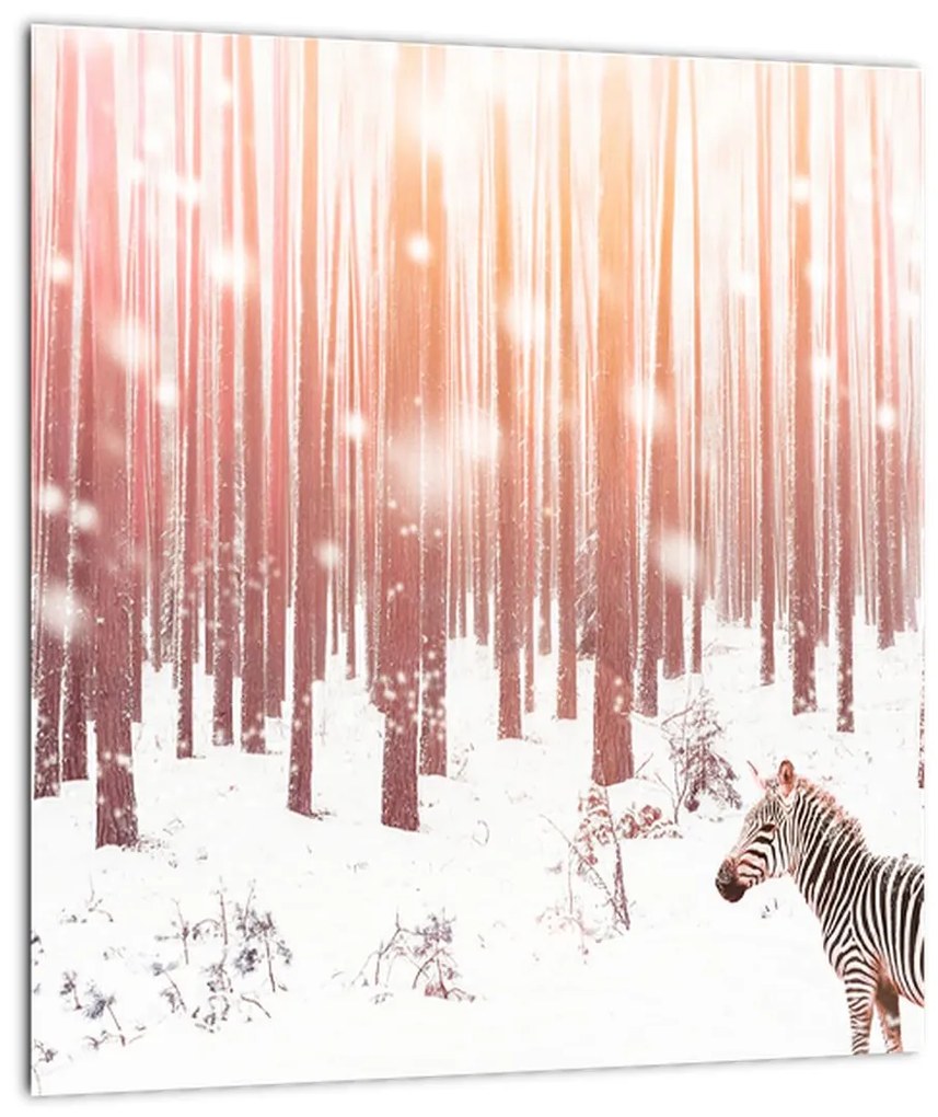 Obraz - Zebra v zasněženém lese (30x30 cm)