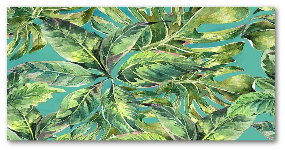 Wallmuralia Moderní akrylový fotoobraz Tropické listí 120x60 cm