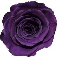 Hlavy růží - premium 4 ks Purple - fialová
