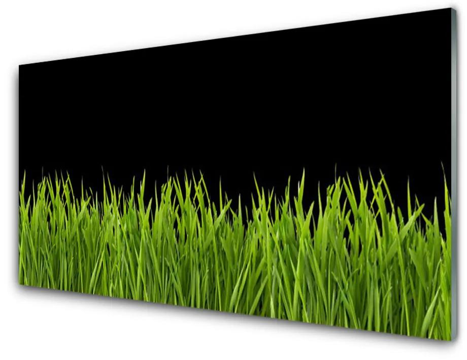 Plexisklo-obraz Zelená Tráva Příroda 120x60 cm
