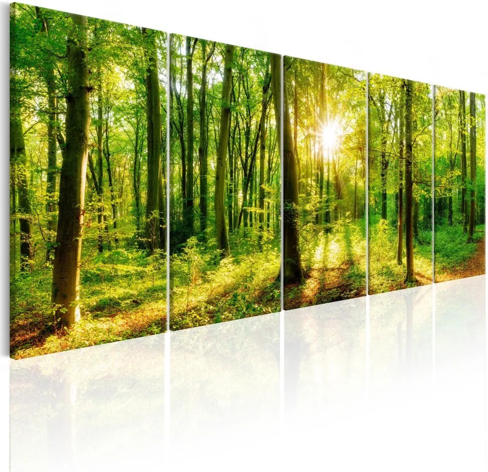 Obraz na plátně Bimago - Magic Forest 225x90 cm