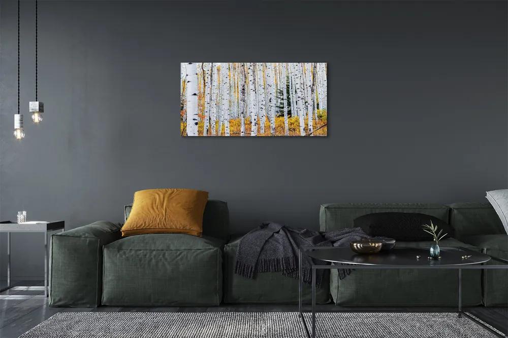 Obrazy na plátně podzimu bříza 125x50 cm