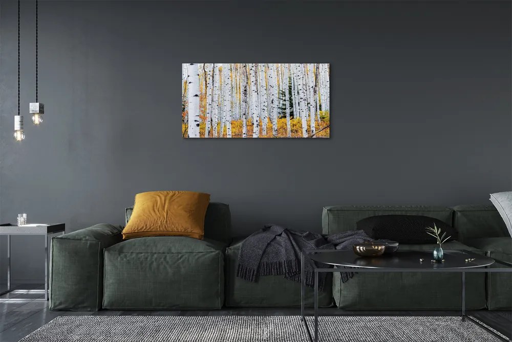 Obrazy na plátně podzimu bříza 140x70 cm