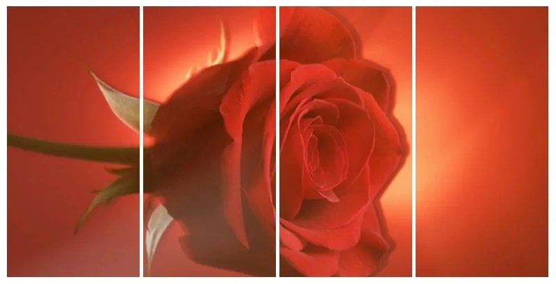 Obraz červevé růže (160x80 cm), 40 dalších rozměrů