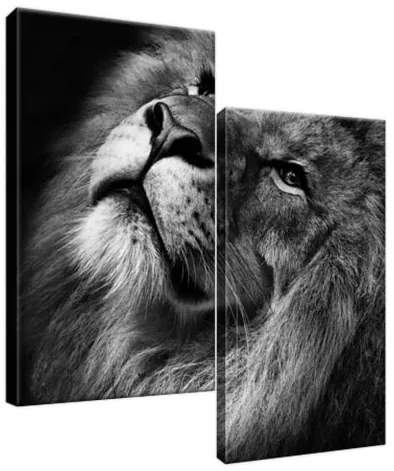 Tištěný obraz Stříbrný lev 60x60cm 2767A_2A