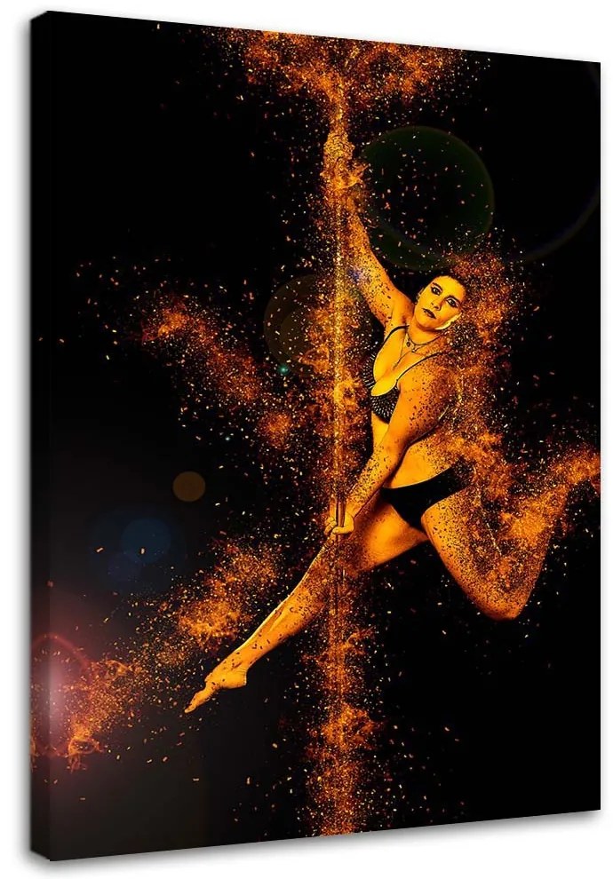 Gario Obraz na plátně Žena tančící na tyči Rozměry: 40 x 60 cm