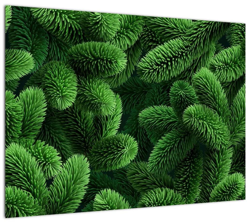 Skleněný obraz - Větvičky jehličnanu (70x50 cm)