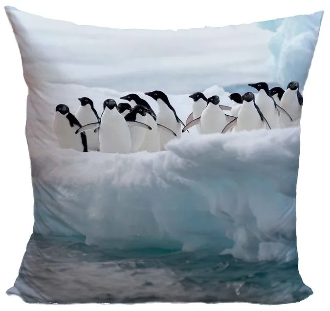 Polštář Skupina tučňáků 40x40 cm