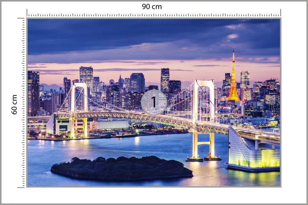 Fototapeta Rainbow Bridge In Tokio Hladký vinyl 312x219
