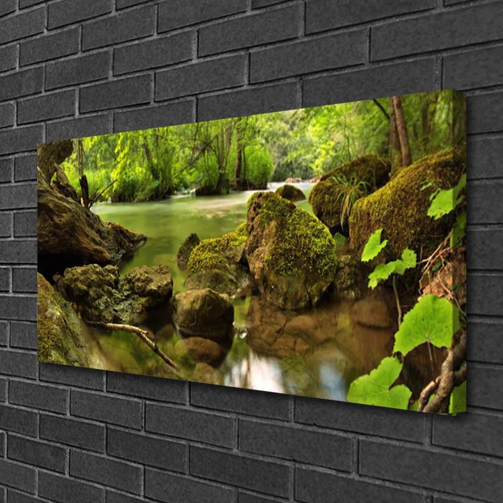 Obraz na plátně Skála Jezero Příroda 140x70 cm