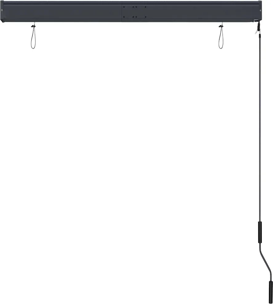 Venkovní roleta 120 x 250 cm antracitová 145964