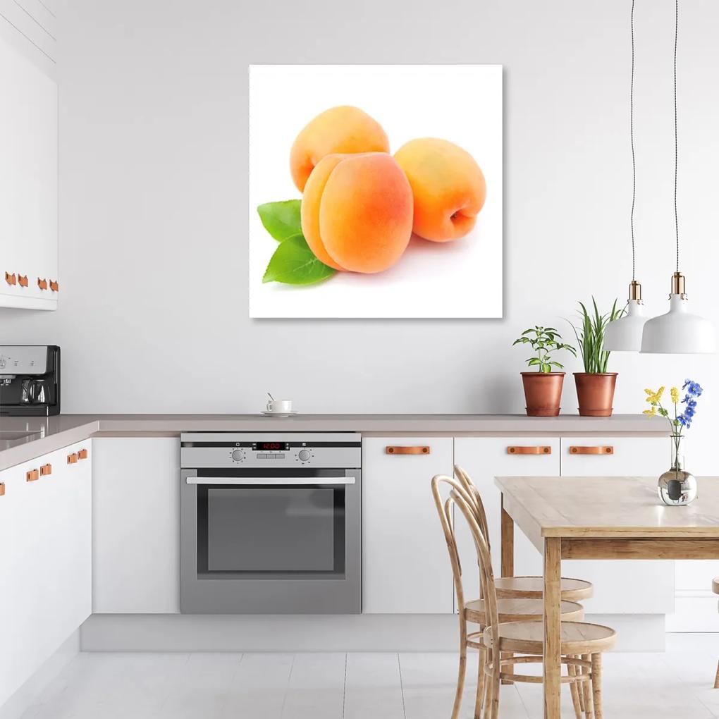 Obraz na plátně, Meruňkové ovoce - 50x50 cm