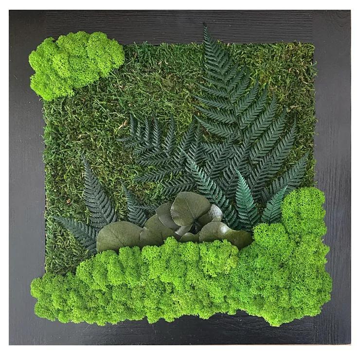 WOODILO Obraz ze stabilizovaného mechu a rostlin 110 Rozměr obrazu: 40x40 cm, Barva rámu: Přírodní (světlé dřevo), Síla rámu (pohledová): 4,5 cm