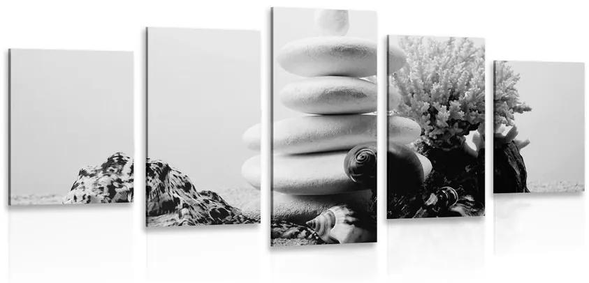 5-dílný obraz Zen kameny s mušlemi v černobílém provedení Varianta: 100x50