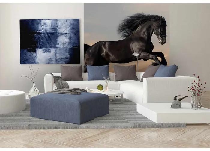 DIMEX | Vliesová fototapeta na zeď Černý kůň MS-3-0228 | 225 x 250 cm | černá, zelená, modrá