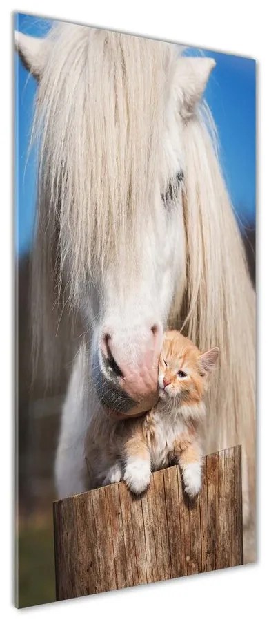Wallmuralia Fotoobraz na skle Bílý kůň s kočkou 50x125 cm