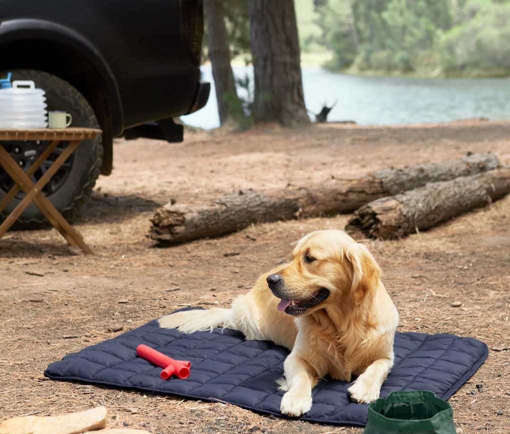 Tchibo - Skládací miska pro psy - barva: zelená