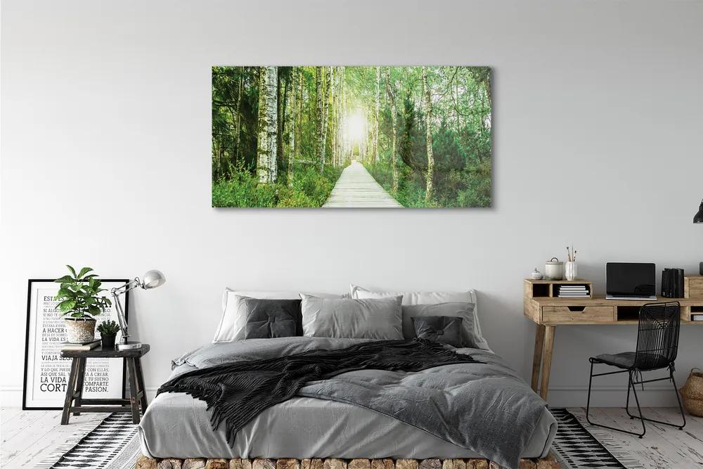akrylový obraz Bříza lesní cesta 140x70 cm