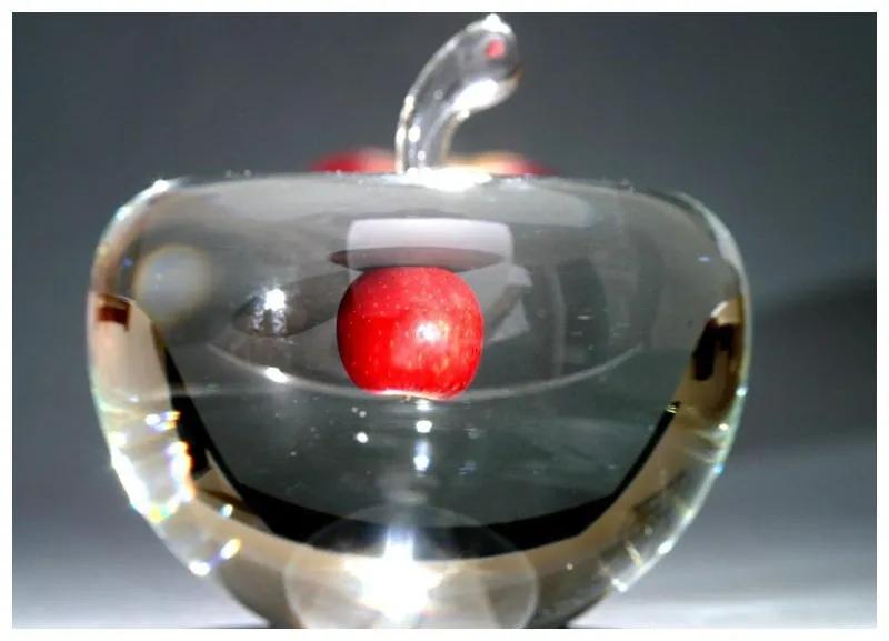 Obraz jablka (70x50 cm), 40 dalších rozměrů