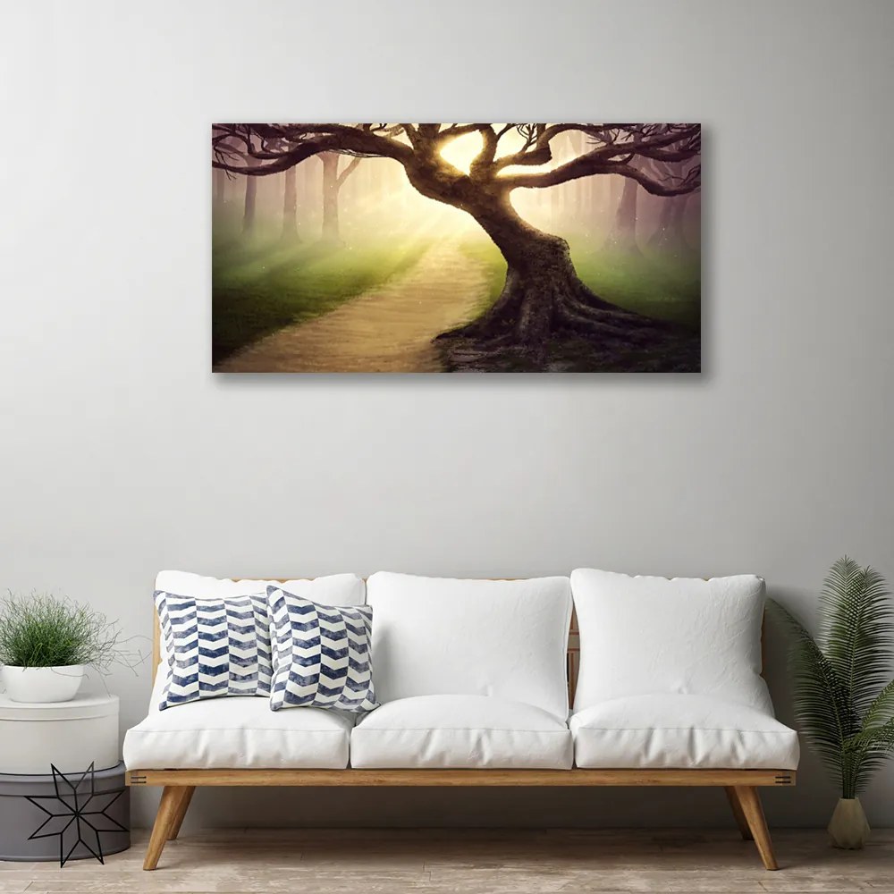 Obraz na plátně Strom Paprsky Slunce 100x50 cm