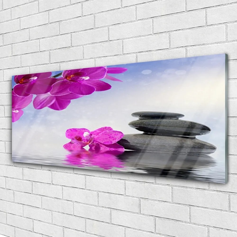 akrylový obraz Květiny Kameny Rostlina 125x50 cm