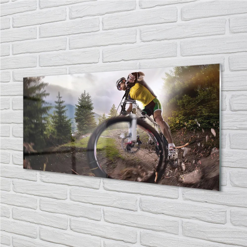akrylový obraz Cloud na horském kole 125x50 cm
