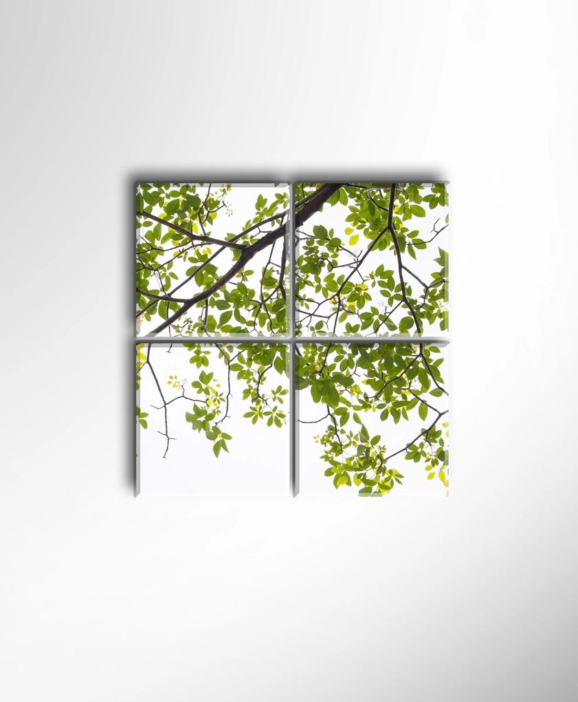 Malvis ® Obraz větev stromu ROZMĚR (šířka x výška): pětidílný obdélník 150x60 cm