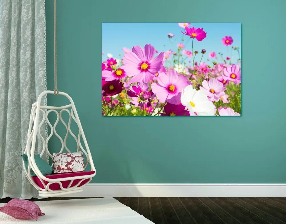 Obraz louka jarních květů - 120x80 cm