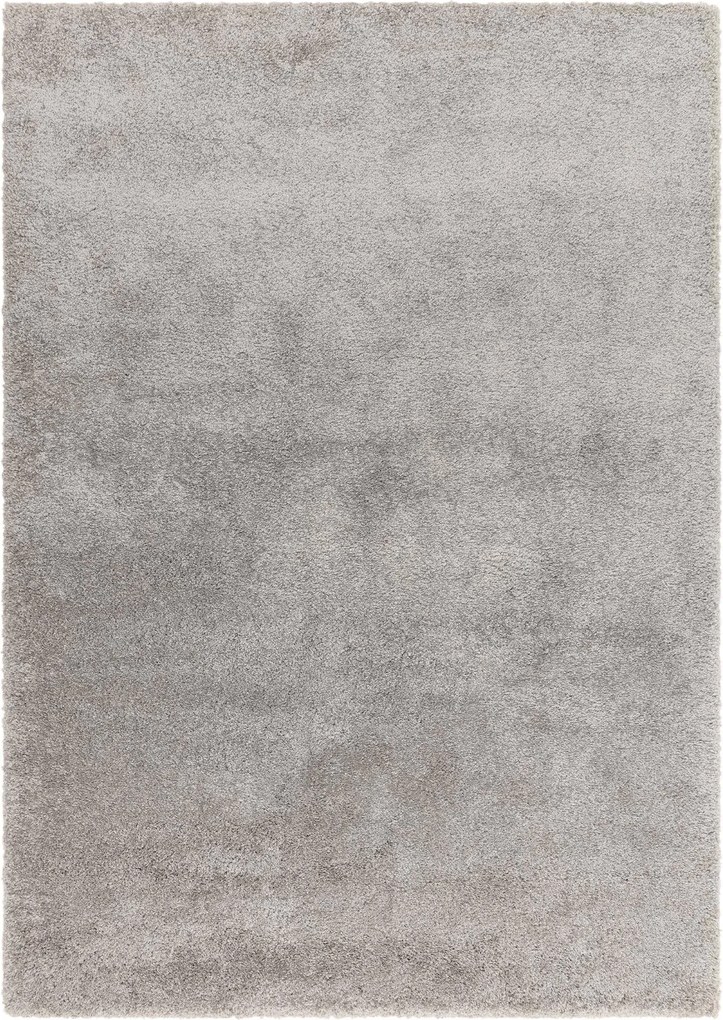 Tribeca Design Kusový koberec Cocoo Silver Rozměry: 200x290 cm