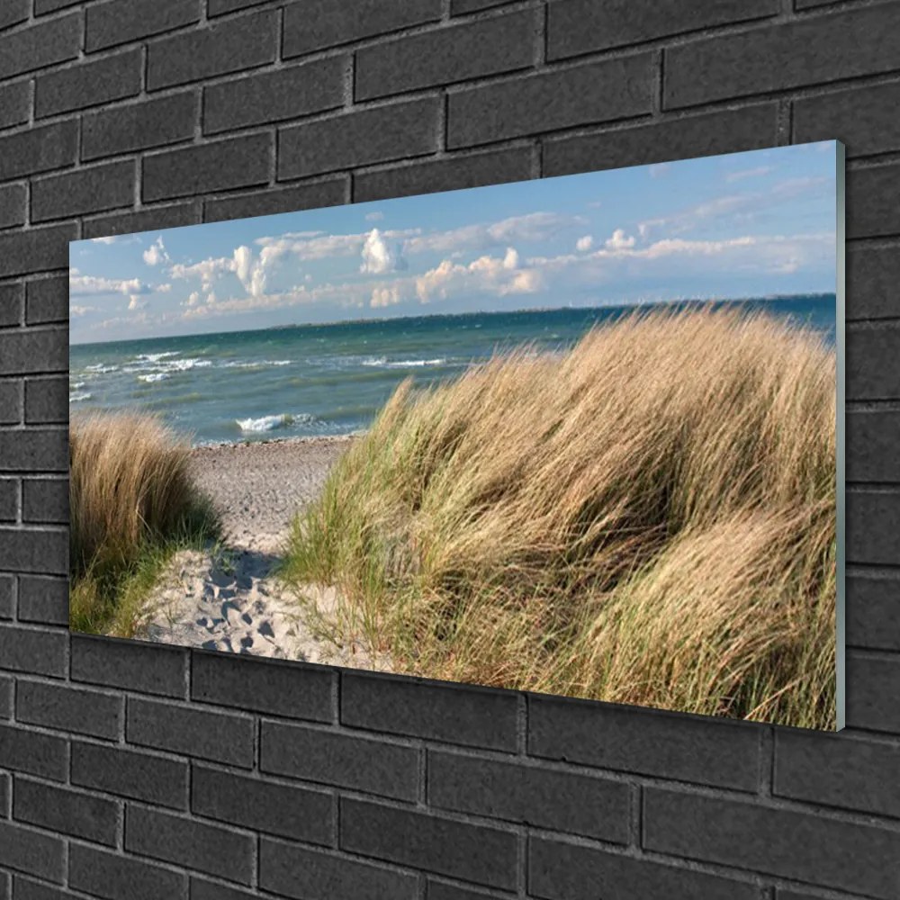 Obraz na skle Pláž Moře Tráva Krajina 100x50 cm