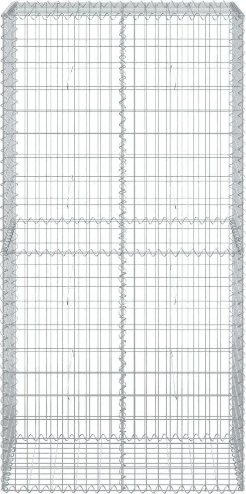 Gabionový koš s víkem 100 x 50 x 200 cm pozinkované železo 3295166