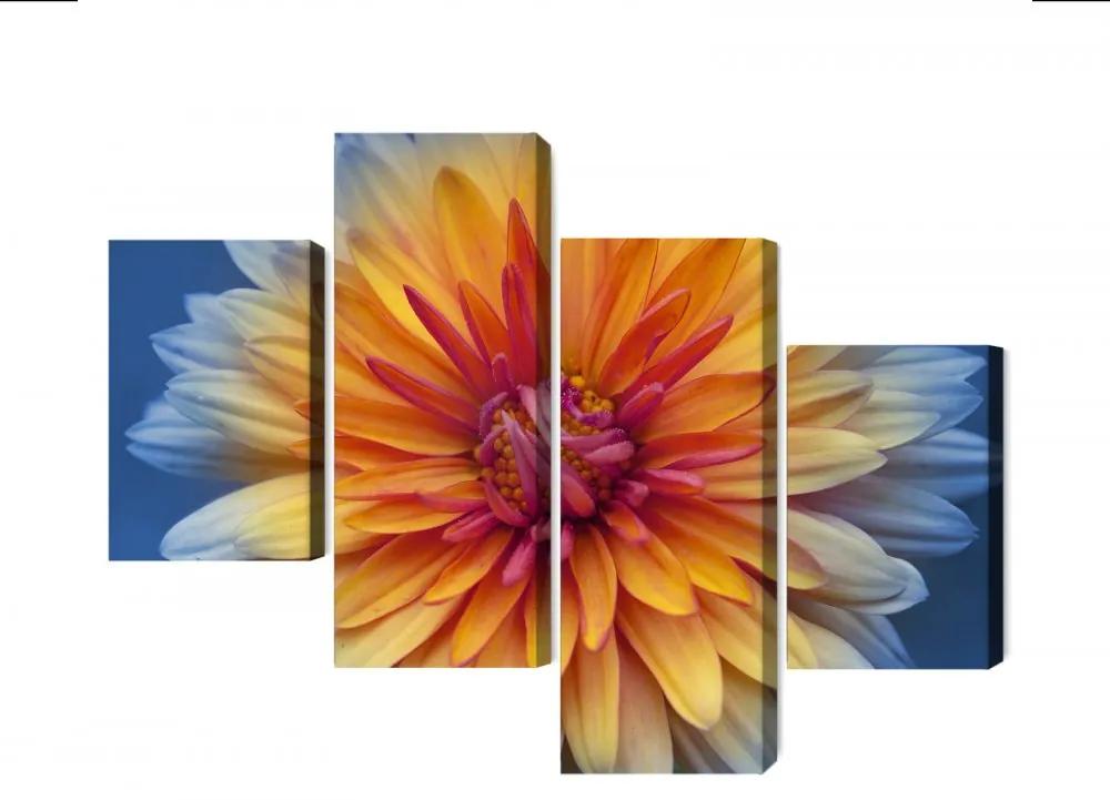 Vícedílný obraz Chryzantéma Květina Zblízka 3D Nedostatek Nedostatek Přírodní plátno 120x75