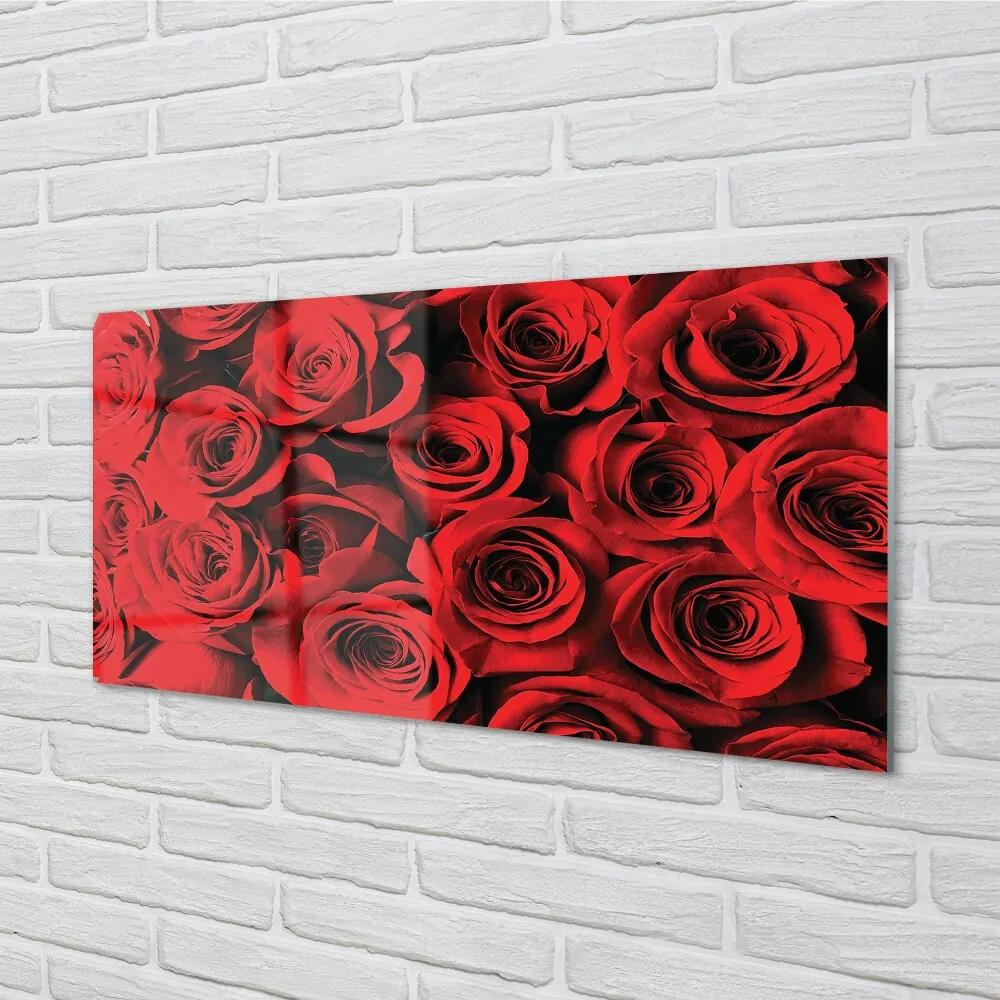 Obraz na skle Růže 125x50 cm