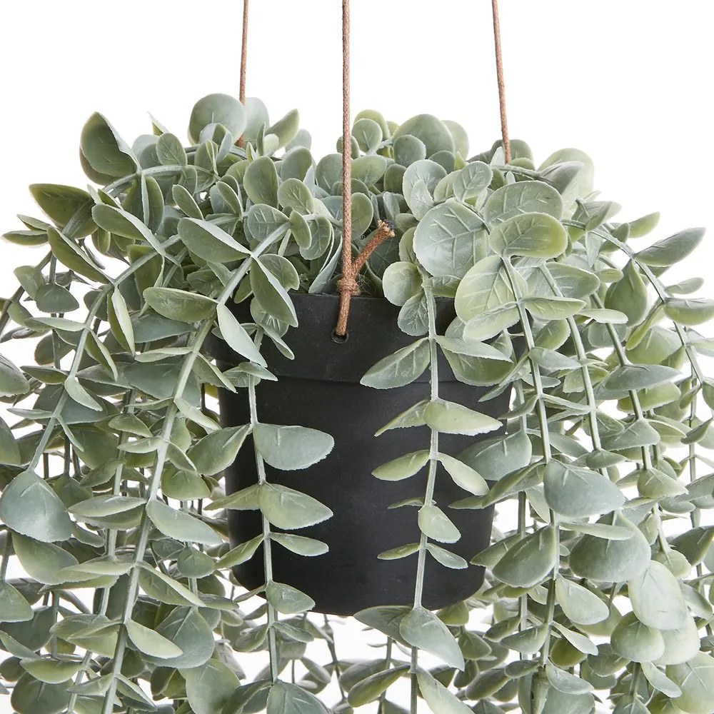 FLORISTA Eukalyptus převislý malý list 65 cm