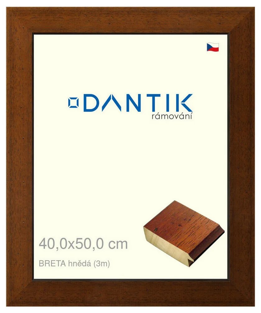 DANTIK rámeček 40x50 | BRETA hnědá (Plexi Čiré)