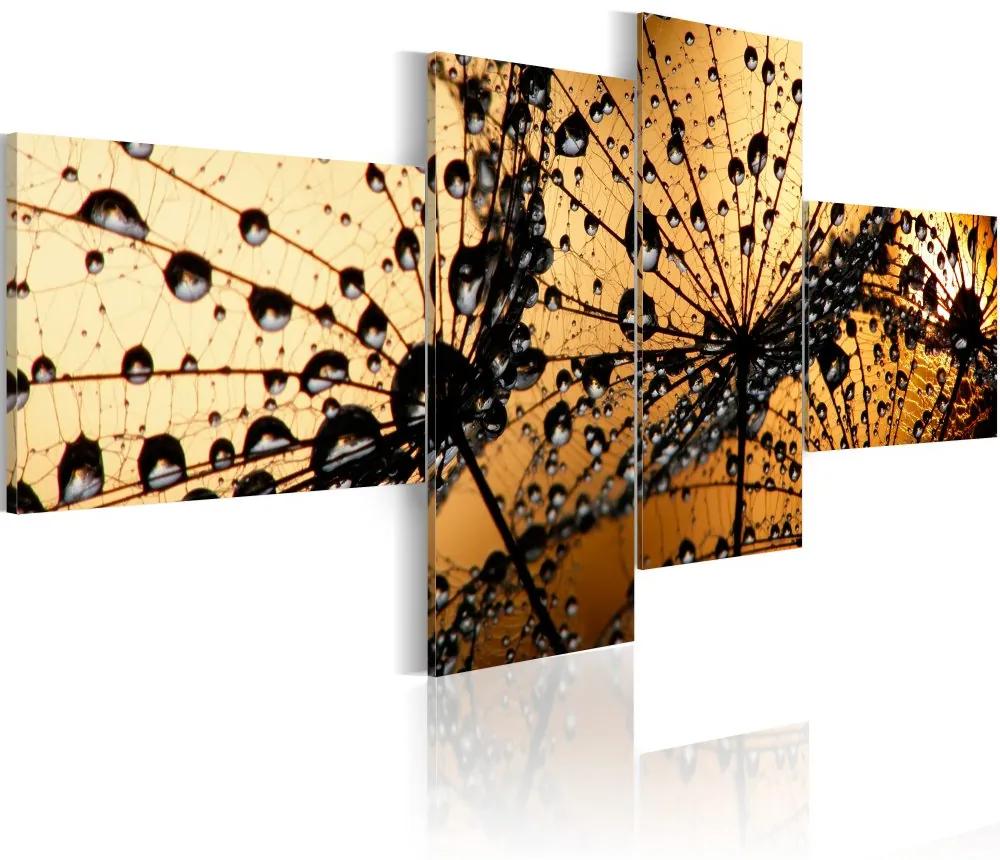 Obraz na plátně Bimago - Pampelišky s kapkami rosy 100x45 cm