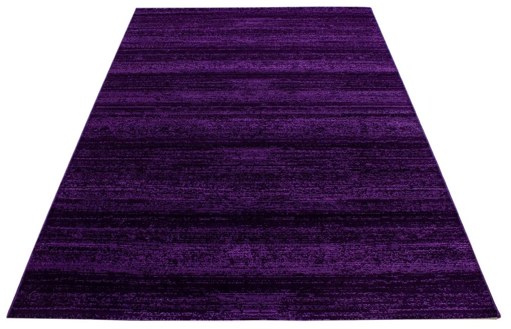 Ayyildiz Kusový koberec PLUS 8000, Lila Rozměr koberce: 120 x 170 cm