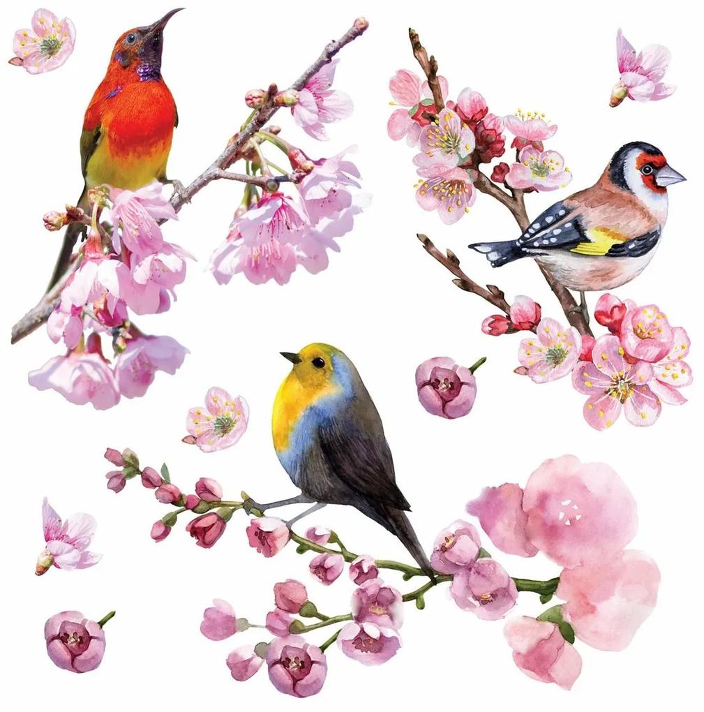 Samolepicí dekorace Birds, 30 x 30 cm