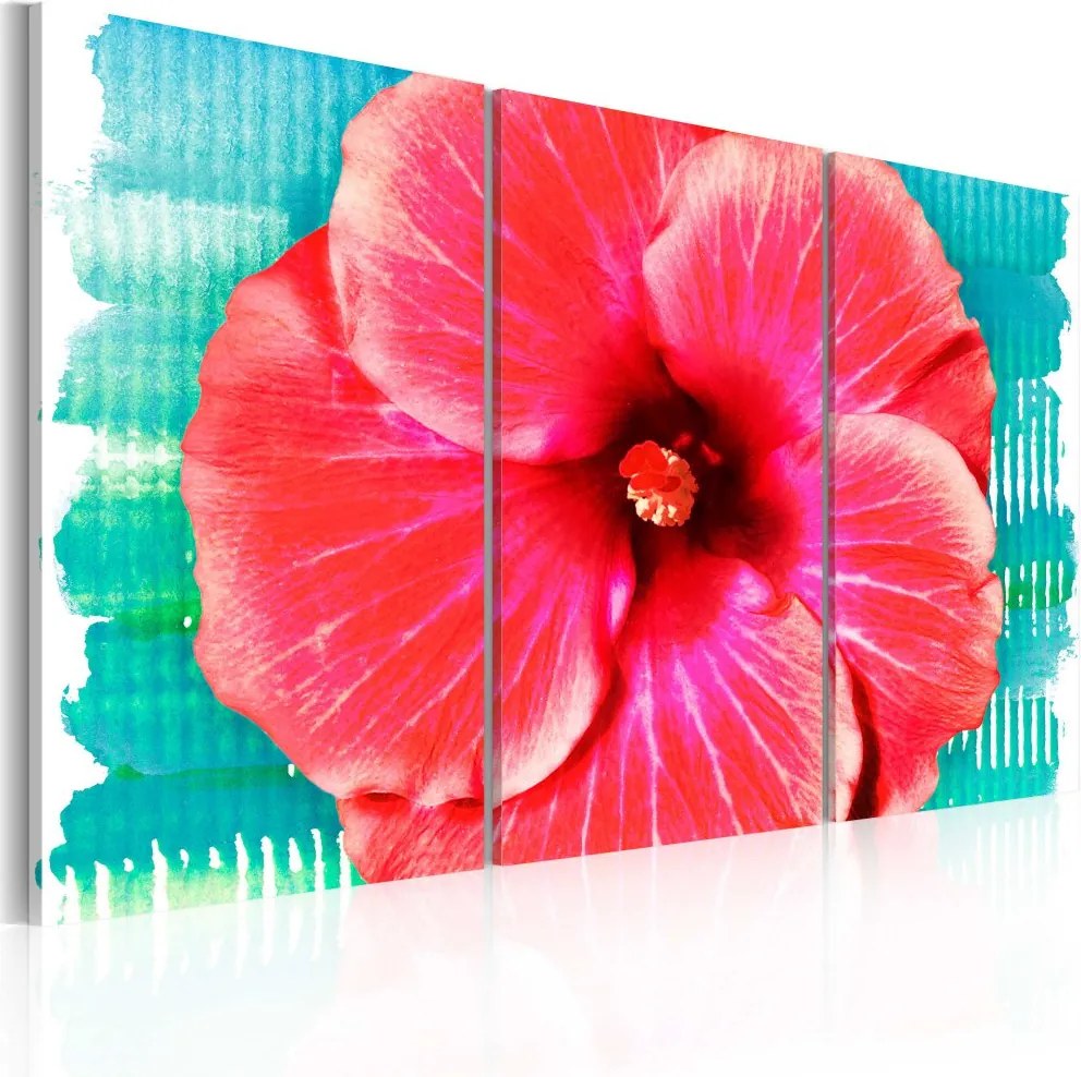 Obraz na plátně Bimago - Hawaiian flower - triptych 60x40 cm
