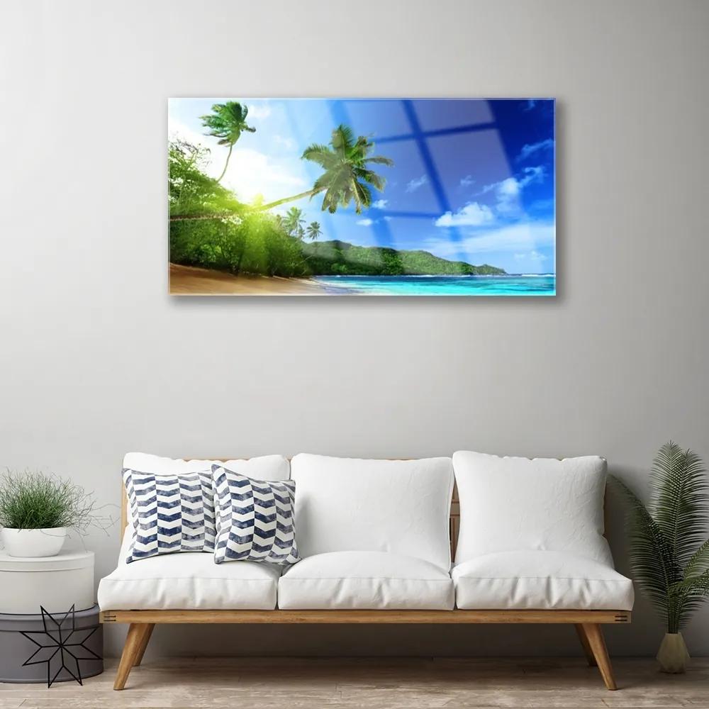 Obraz na skle Pláž Moře Palma Krajina 100x50 cm