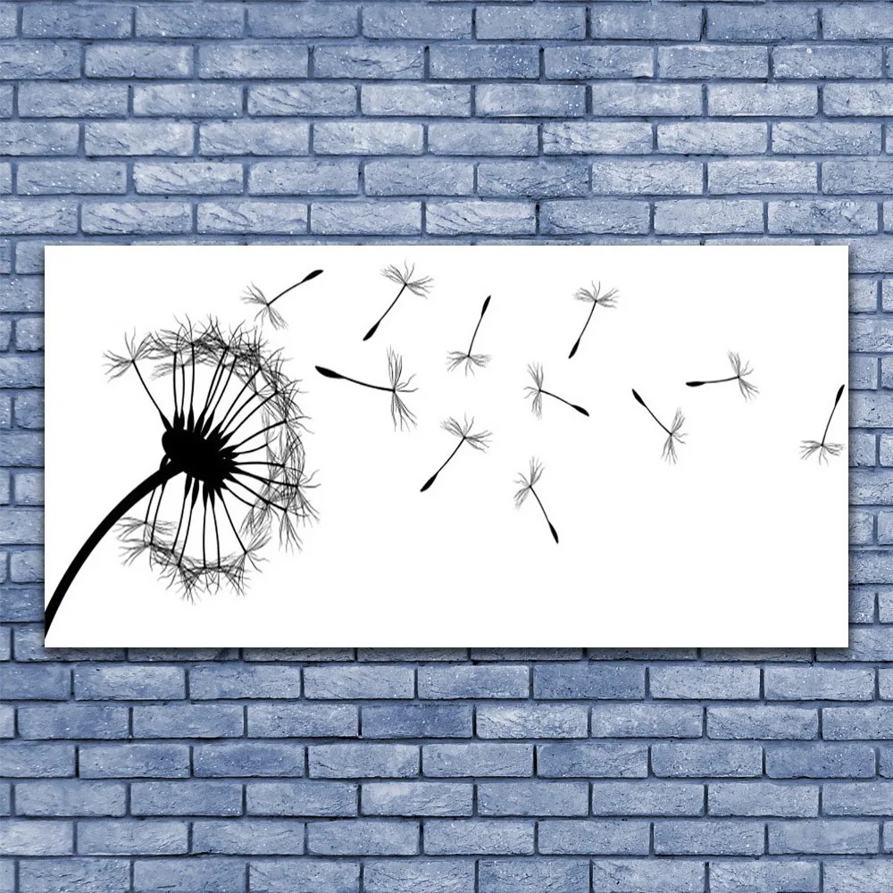 Plexisklo-obraz Pampeliška Květ 120x60 cm