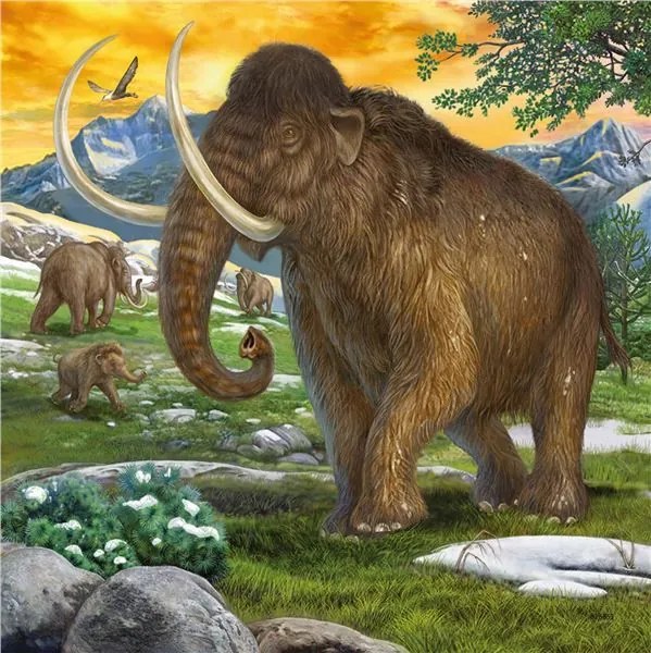 Ravensburger puzzle Dinosauři a čas 3x49 dílků