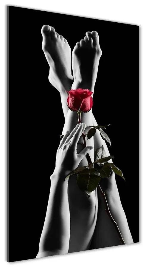 Wallmuralia Moderní akrylový fotoobraz Růže a chodidla 60x120 cm