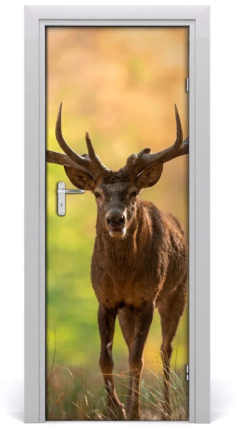 Fototapeta samolepící na dveře jelen v lese 75x205cm
