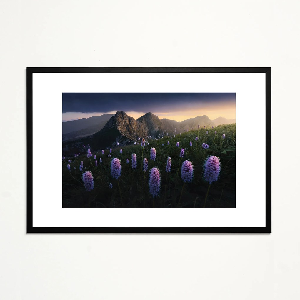 Filip Hrebenda | Farewell to the Sun Rám: Dubový, Velikost: 50 x 70 cm