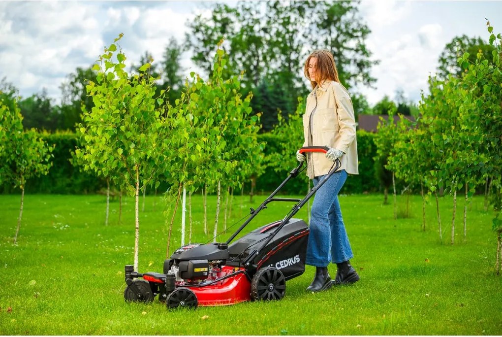Hahn & Sohn Cedrus Benzínová sekačka KS51S-ZT s pojezdem otočná přední kola HP161050
