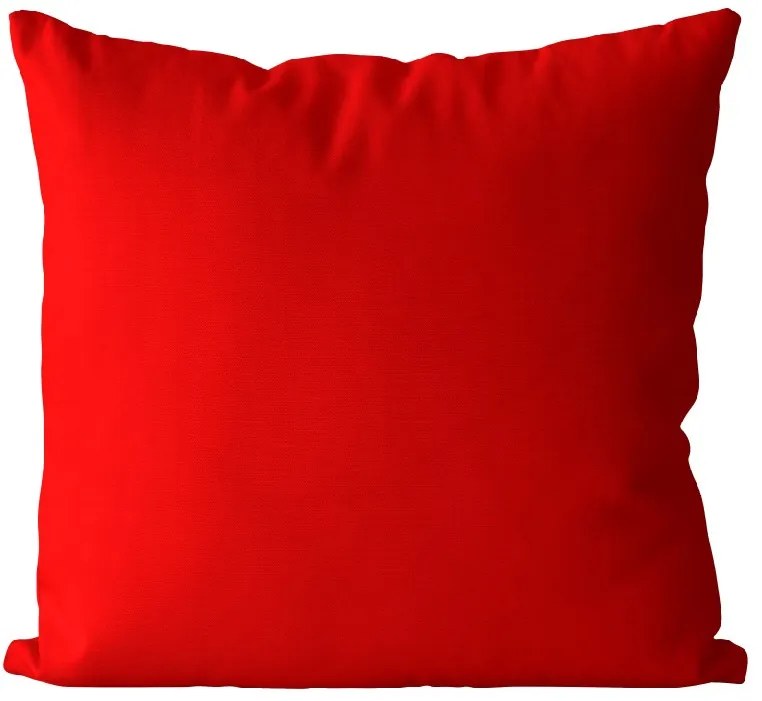 Polštář Červený (Velikost: 55 x 55 cm)