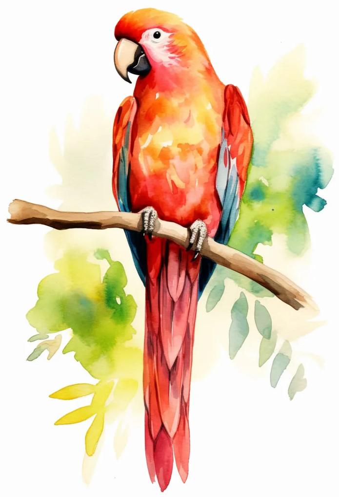 Plakát - Červený papoušek ve světě barev