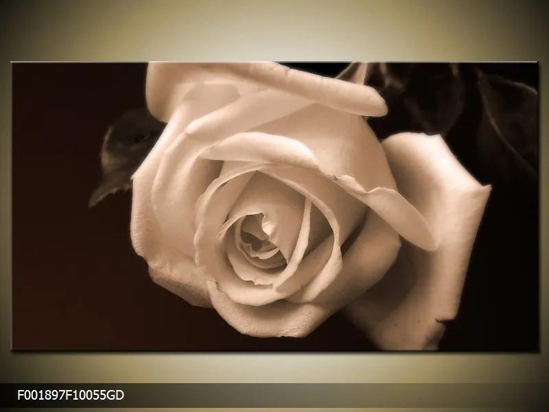 Obraz krásné růže (), 40 dalších rozměrů